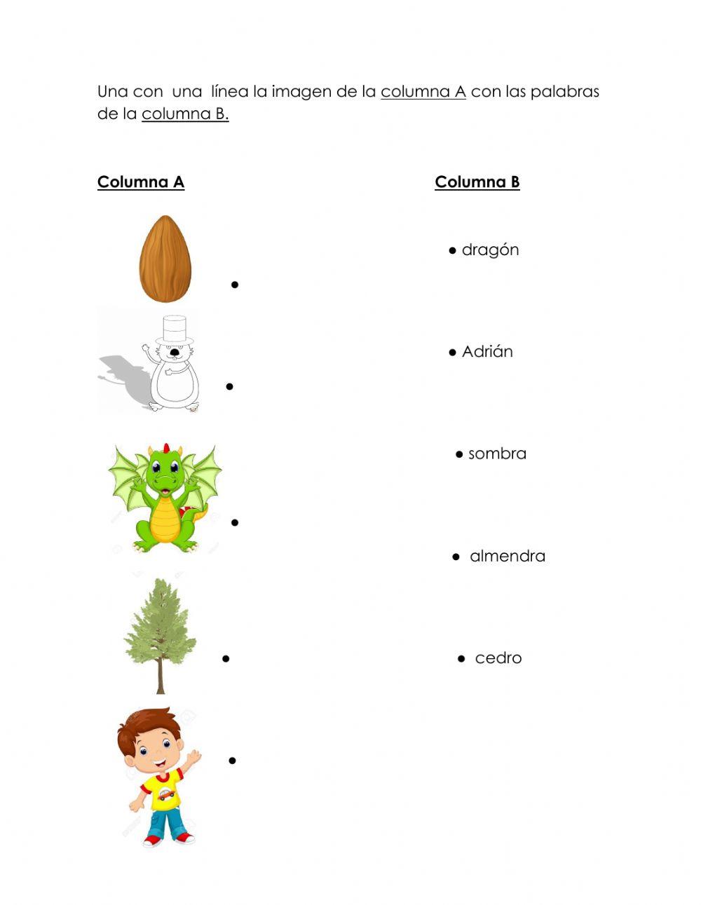 Palabras con dr worksheet | Live Worksheets