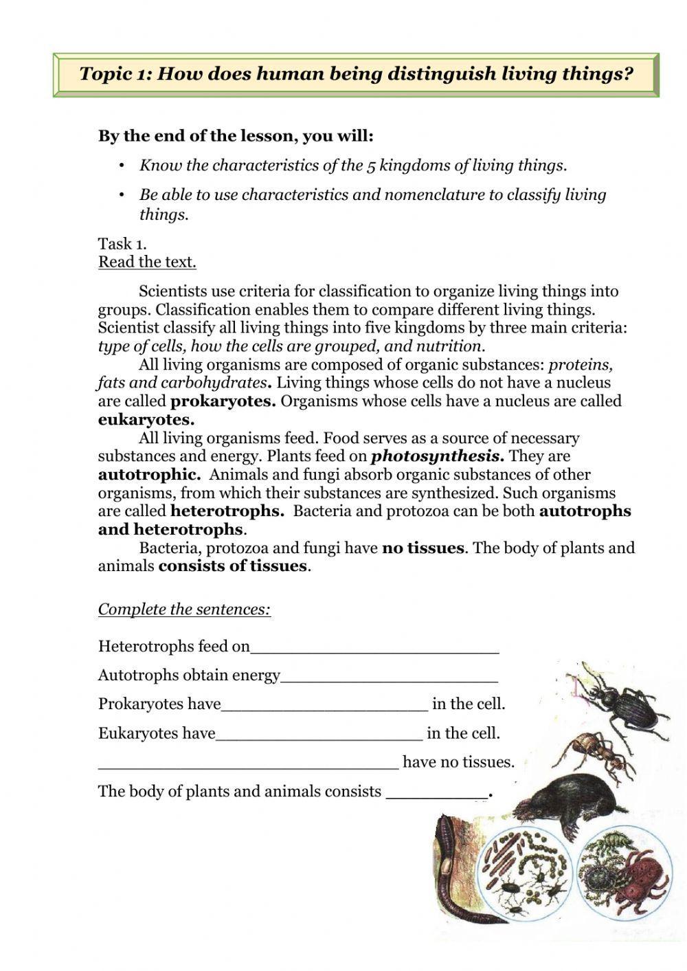 Classification Of Living Things 5 Kingdoms Classification Of Living Things 5 Kingdoms