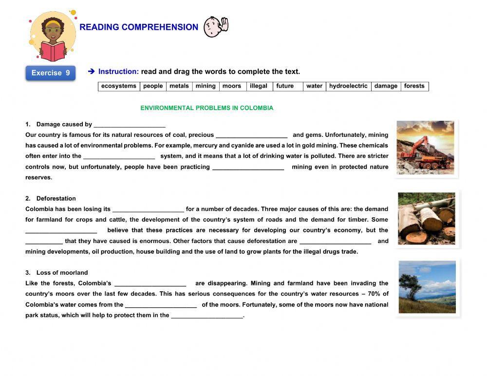 Study guide n°4… | Free Interactive Worksheets | 354120