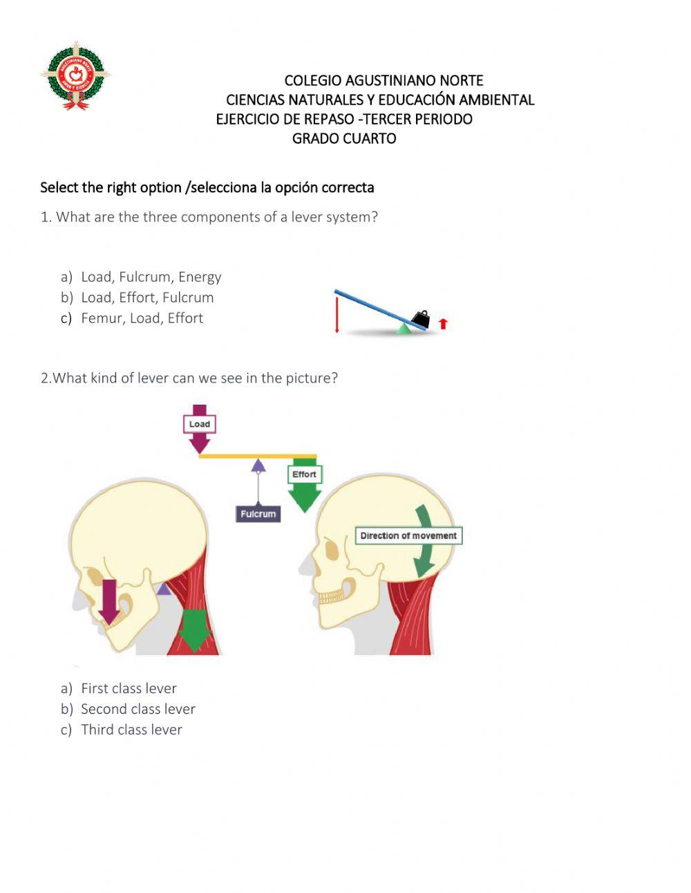 SCIENCE -LOCOMOTOR SYSTEM worksheet | Live Worksheets