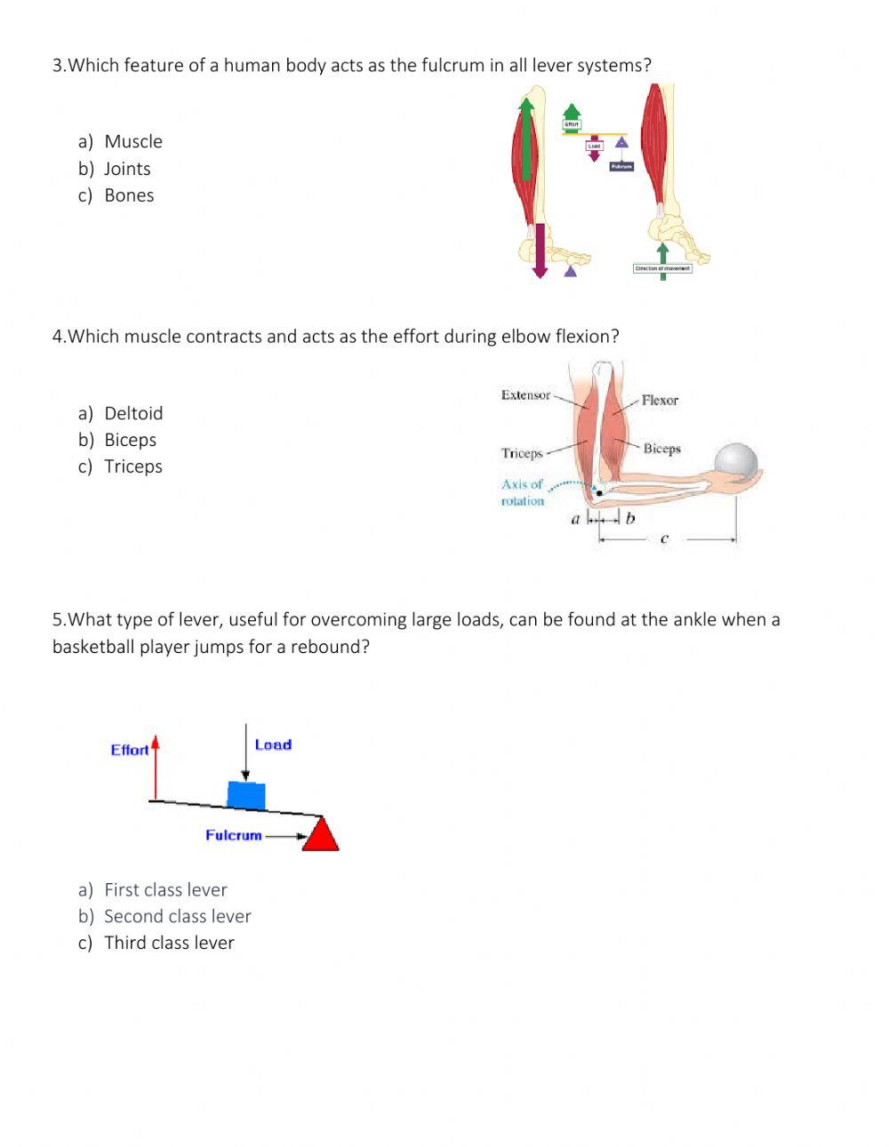 SCIENCE -LOCOMOTOR SYSTEM worksheet | Live Worksheets