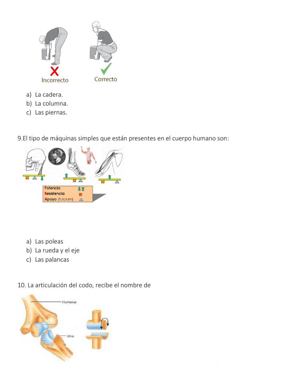SCIENCE -LOCOMOTOR SYSTEM worksheet | Live Worksheets