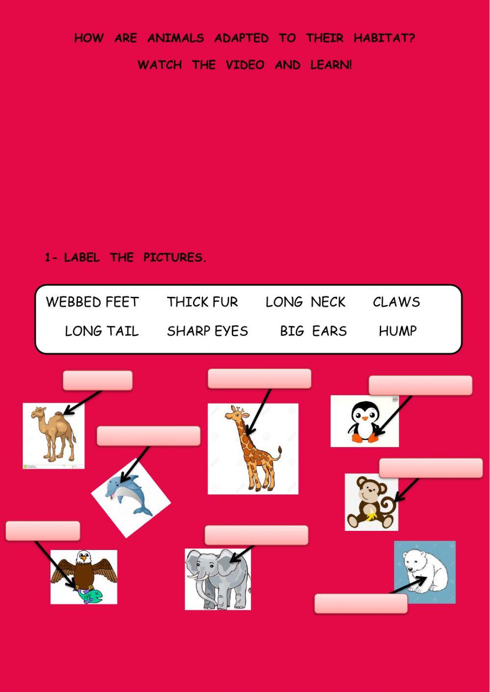 Animal Body Parts Worksheet For Grade 2 Live Worksheets animal-body-parts-worksheet-for-grade-2-live-worksheets