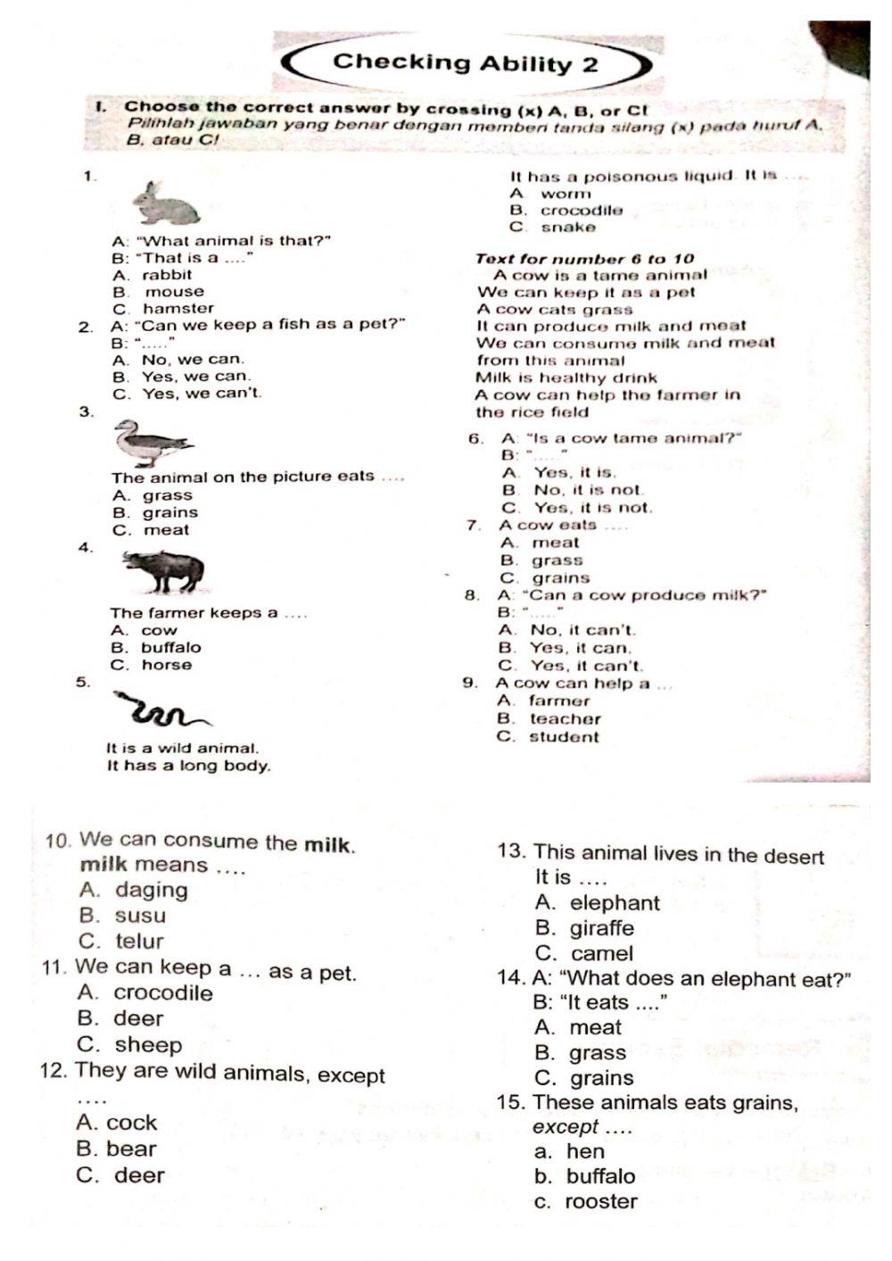 356391 | Checking Ability 2 - Module | Dian_dewi142017