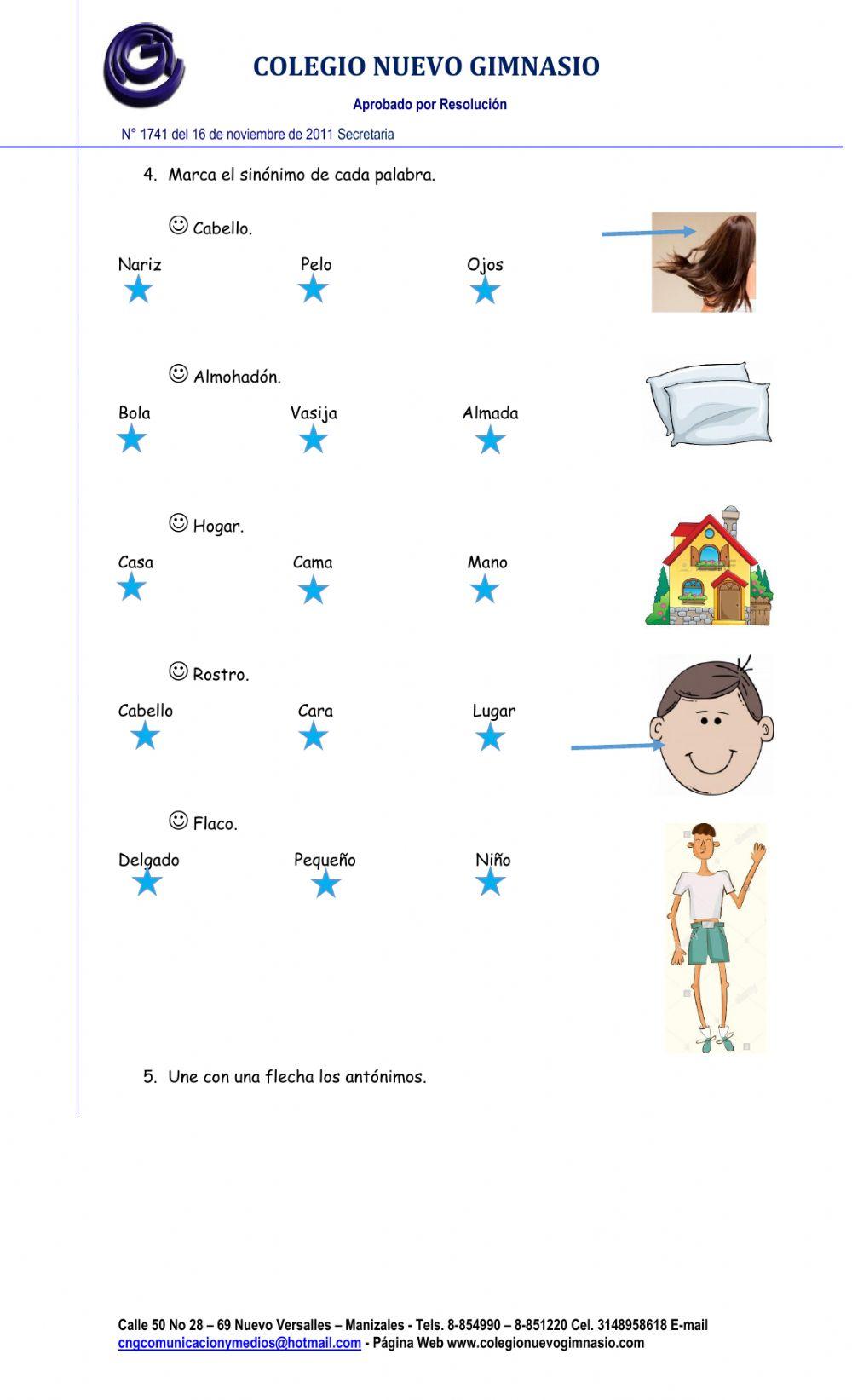 Pdf online activity: Español | Live Worksheets