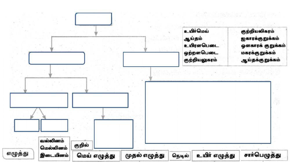 Tamil 611417 | johnson devadoss | LiveWorksheets