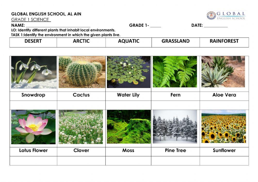 Science w2 p1 t2 611458 | Edmarie | Live Worksheets