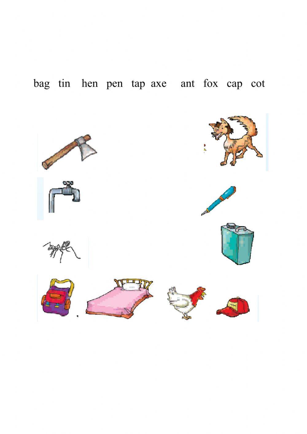 WORD DRAG WITH PIC online exercise for | Live Worksheets
