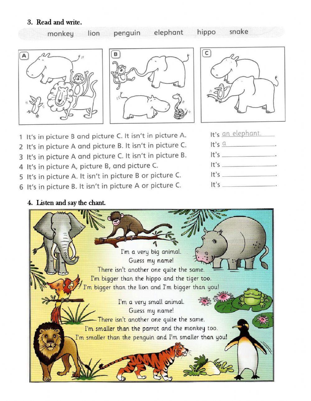 At the Zoo 623834 | Melinda1973 | Live Worksheets