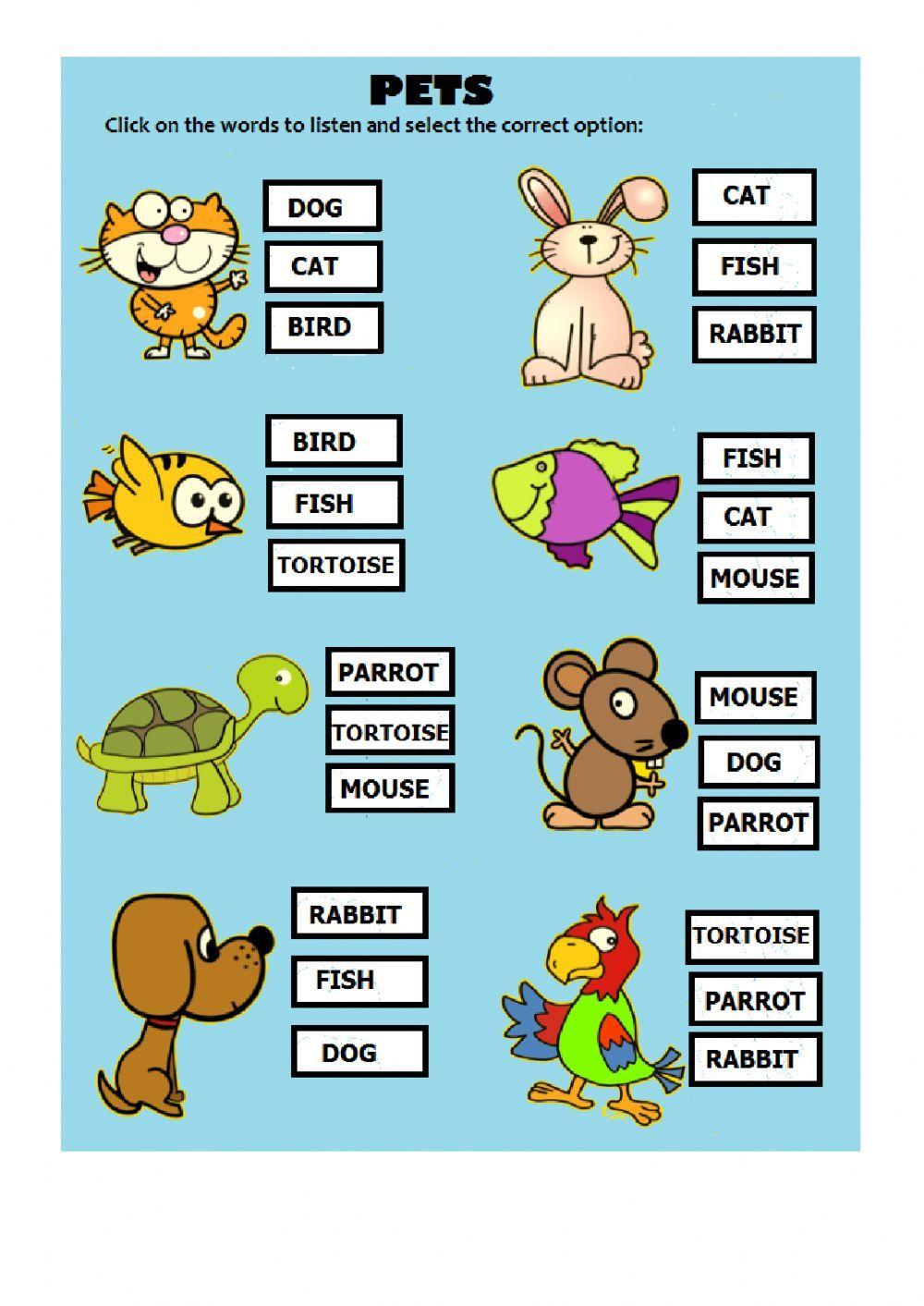 624438 | Grade 1 Animals | Wimarshi | LiveWorksheets