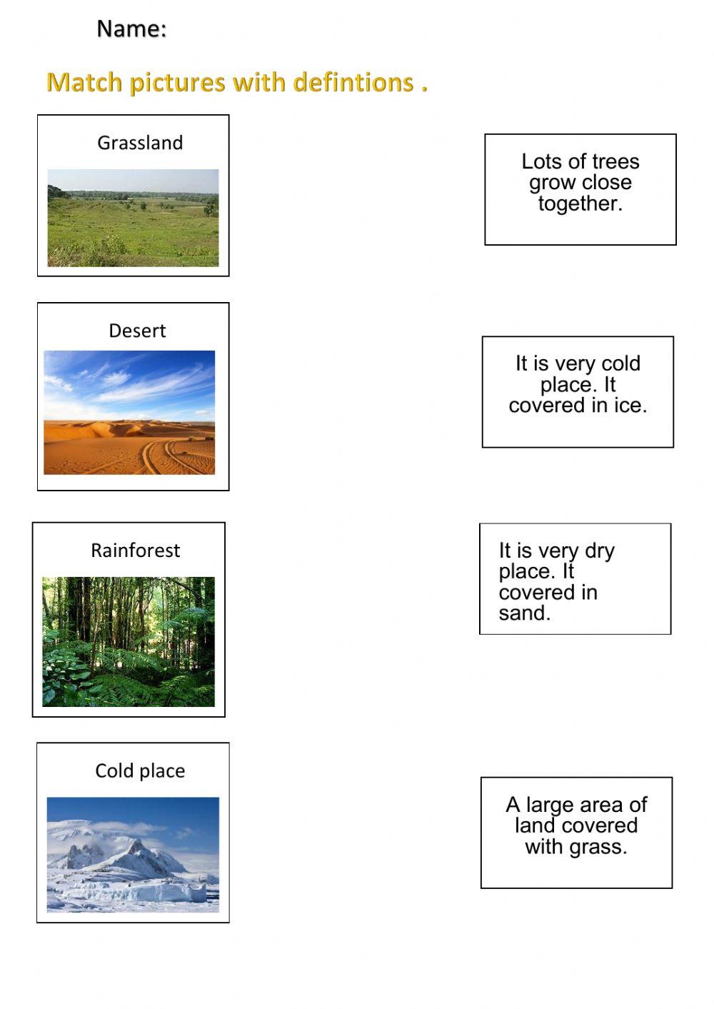 Environments online worksheet | Live Worksheets