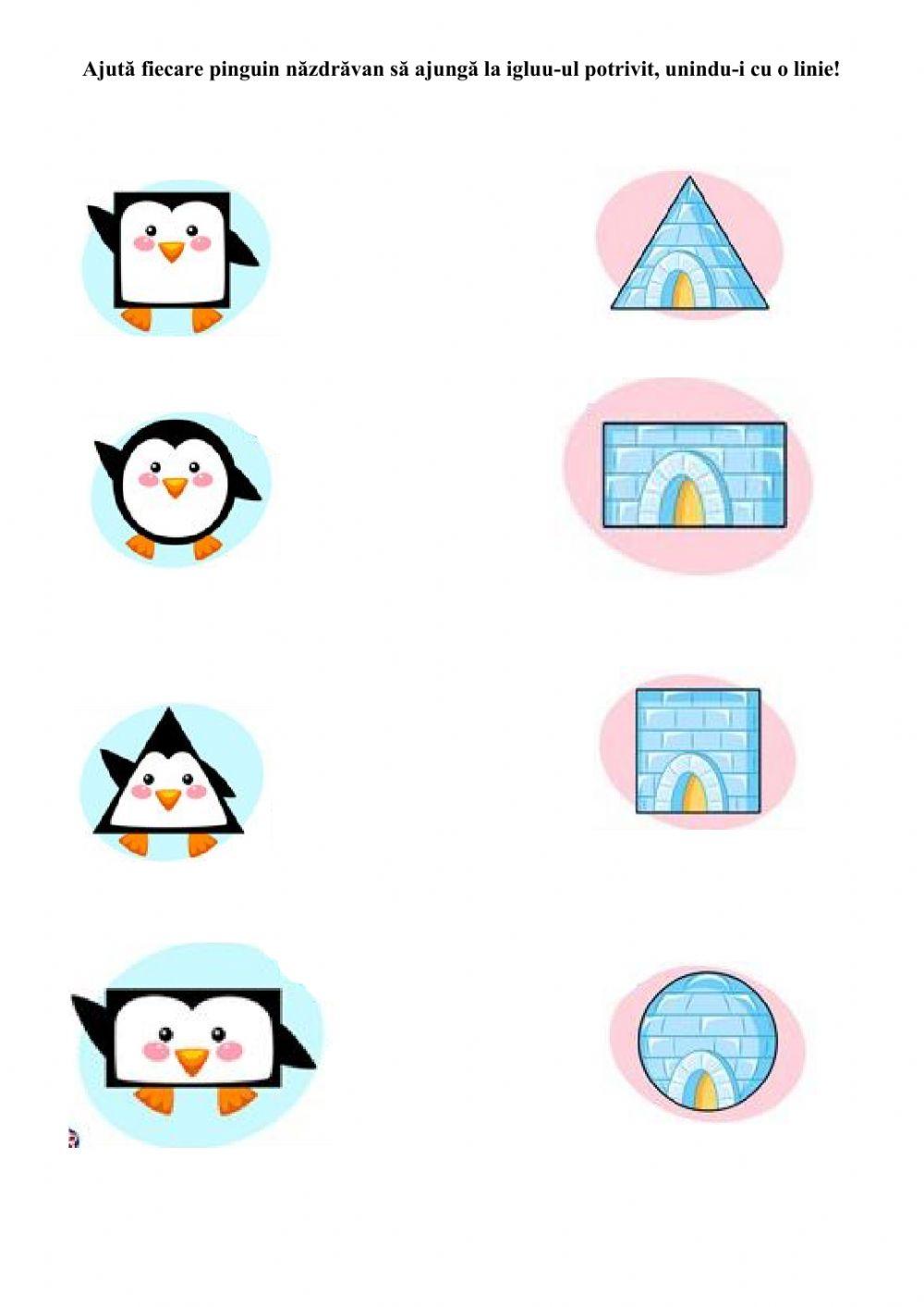 Apolodor, pingunul călător 626606 | pstraja | Live