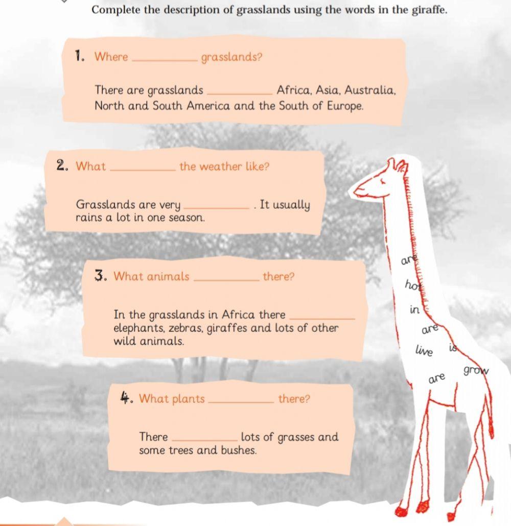 Exciting Environment exercise | Live Worksheets