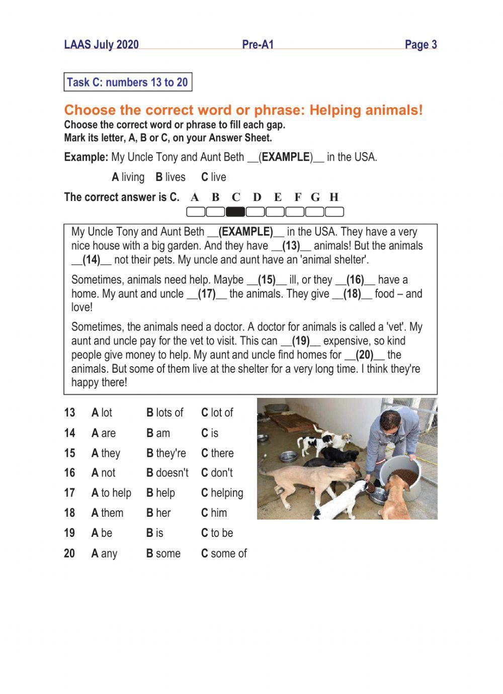 LAAS Pre-A1 July 2020 worksheet | Live Worksheets