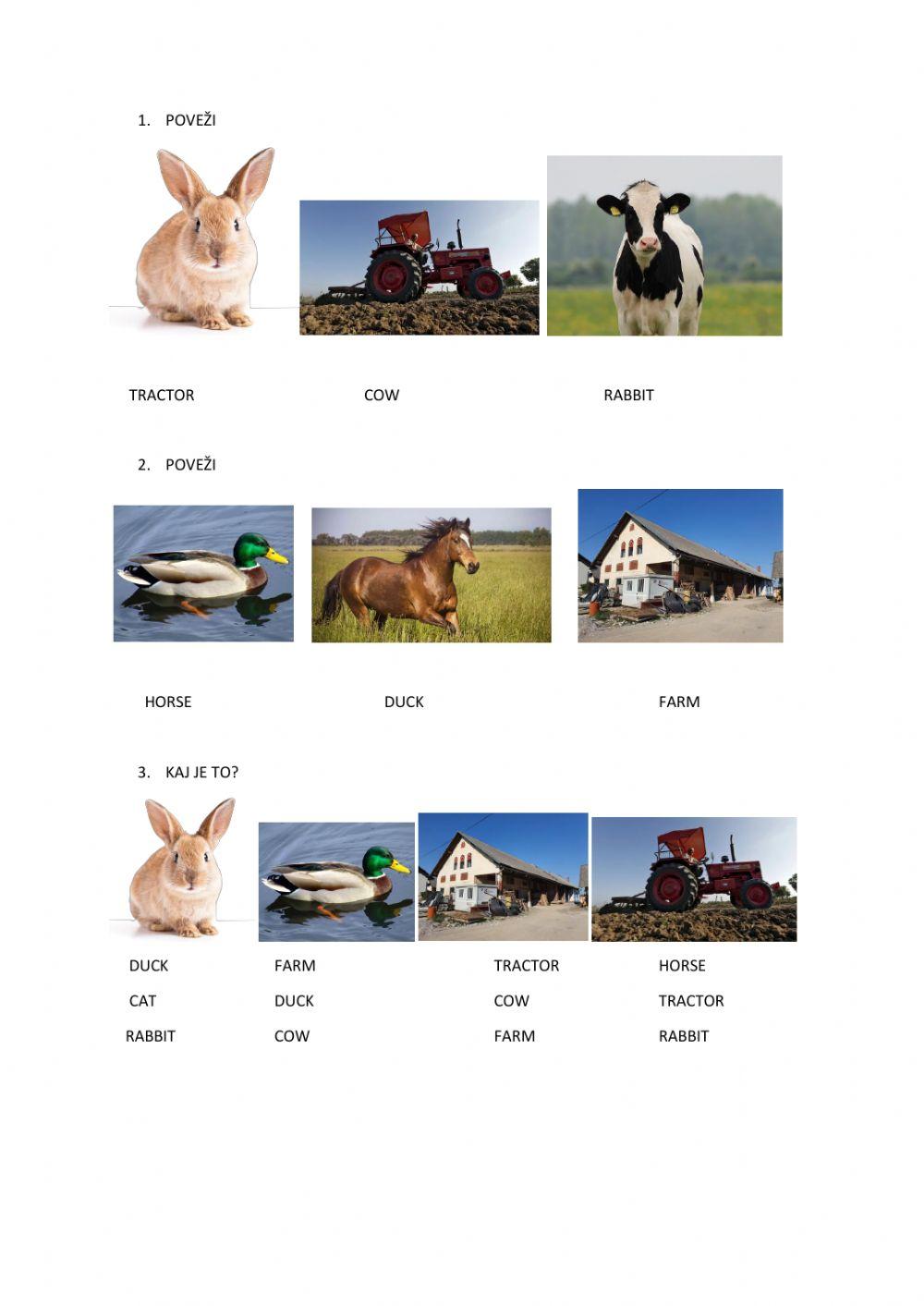 On a farm worksheet | Live Worksheets