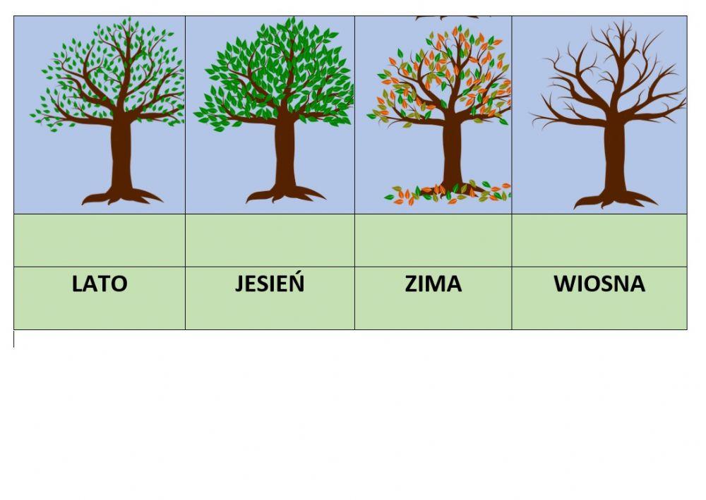 Pory roku 630609 | szkolagrabias | Live Worksheets