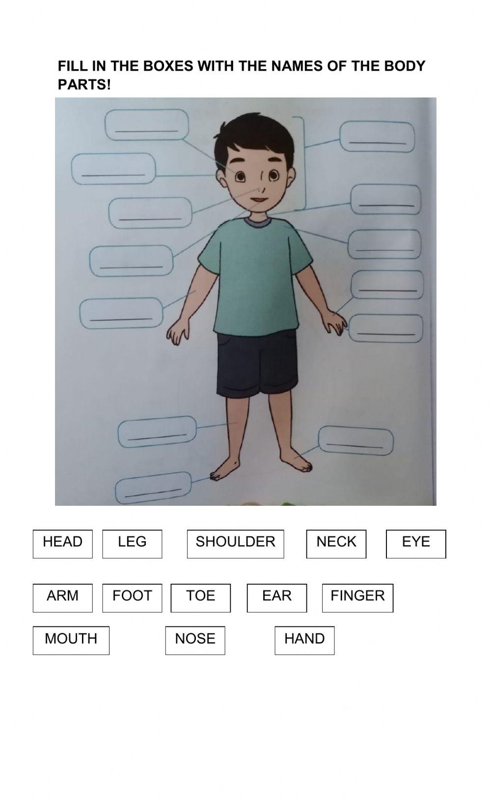 Exercise Lesson 9 worksheet | Live Worksheets