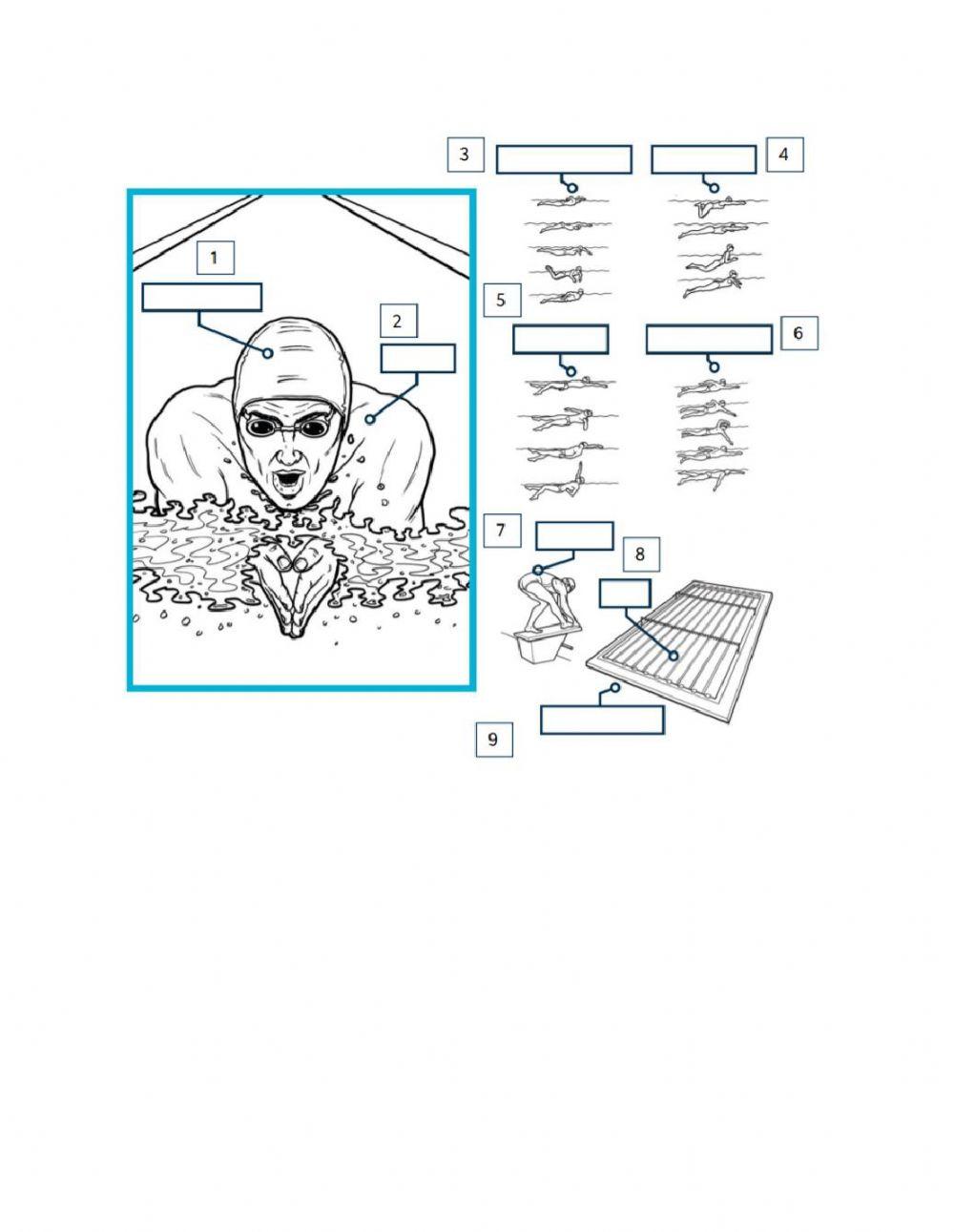 6360261 | Swimming vocabulary | Oana Visenica