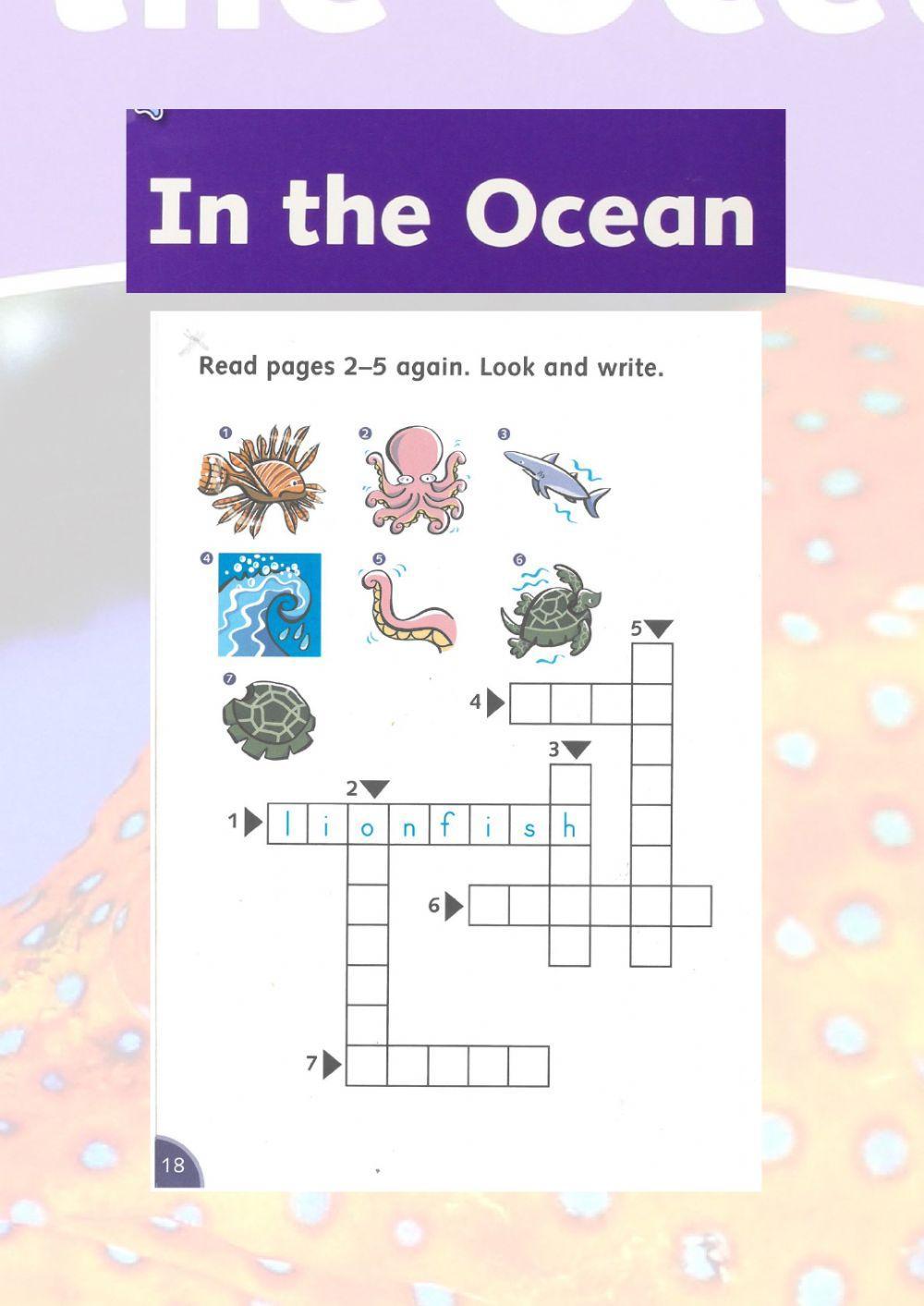 In the Ocean worksheet | Live Worksheets