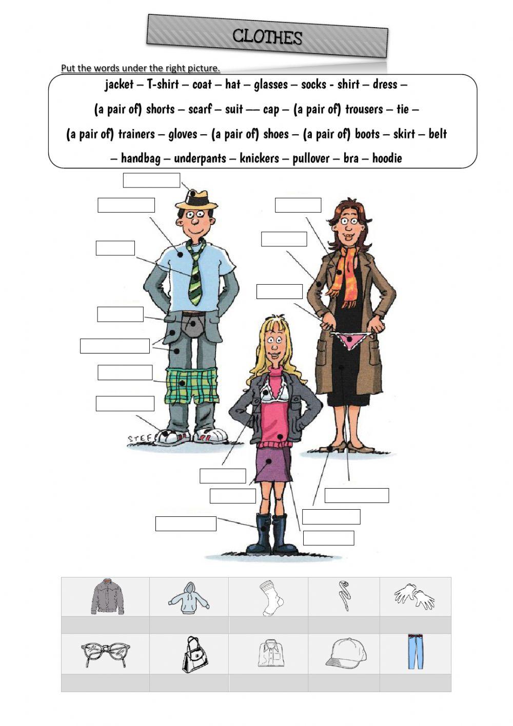 Clothes Synthesis online exercise for | Live Worksheets