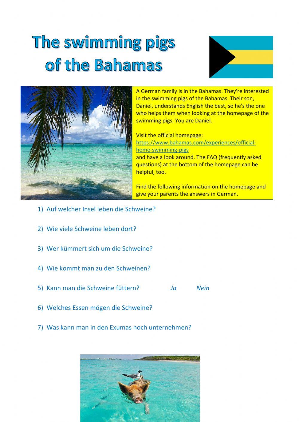 The swimming pigs of the Bahamas worksheet | Live Worksheets