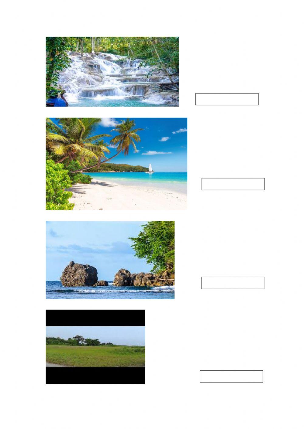 The Caribbean Landscape | Margaret Lowe | Live