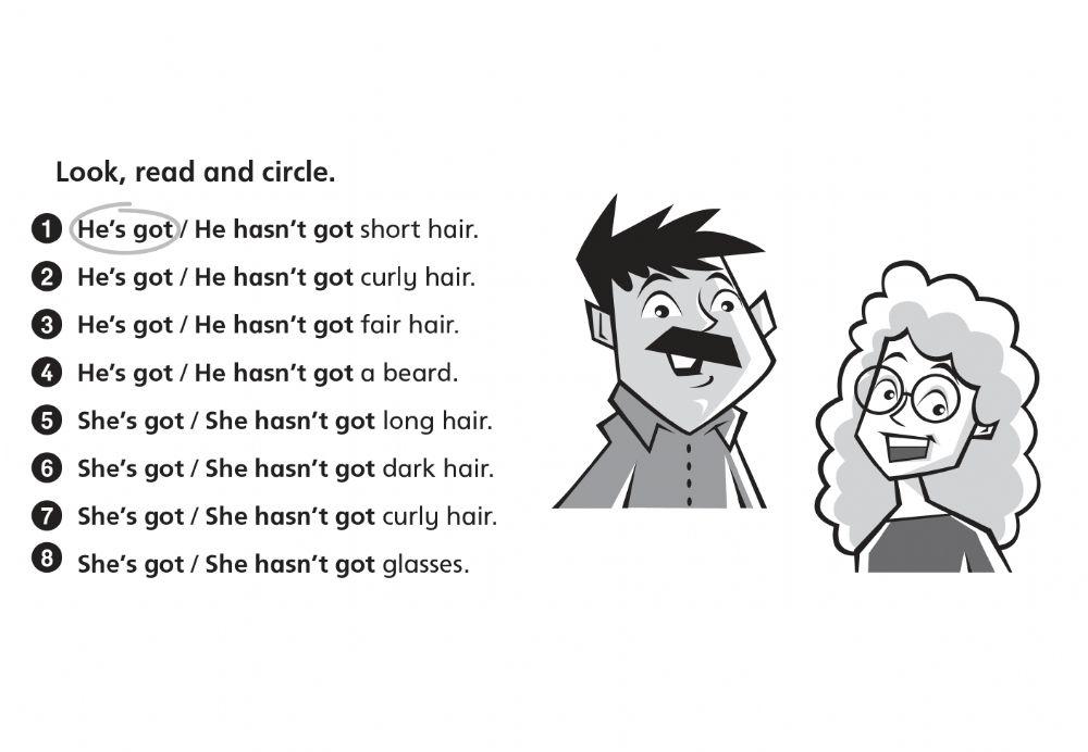 PHYSICAL APPEARANCE HE'S GOT SHE'S GOT 6367692 | Sheilams