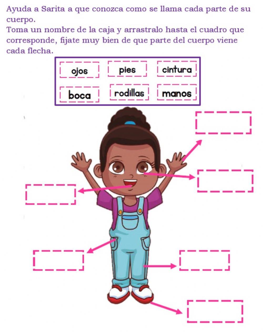 Sigamos el ritmo worksheet | Live Worksheets