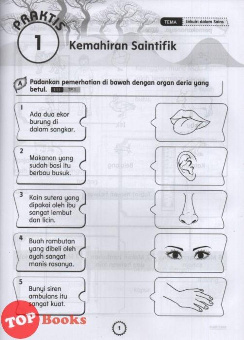 KPS memerhati interactive worksheet | Live Worksheets