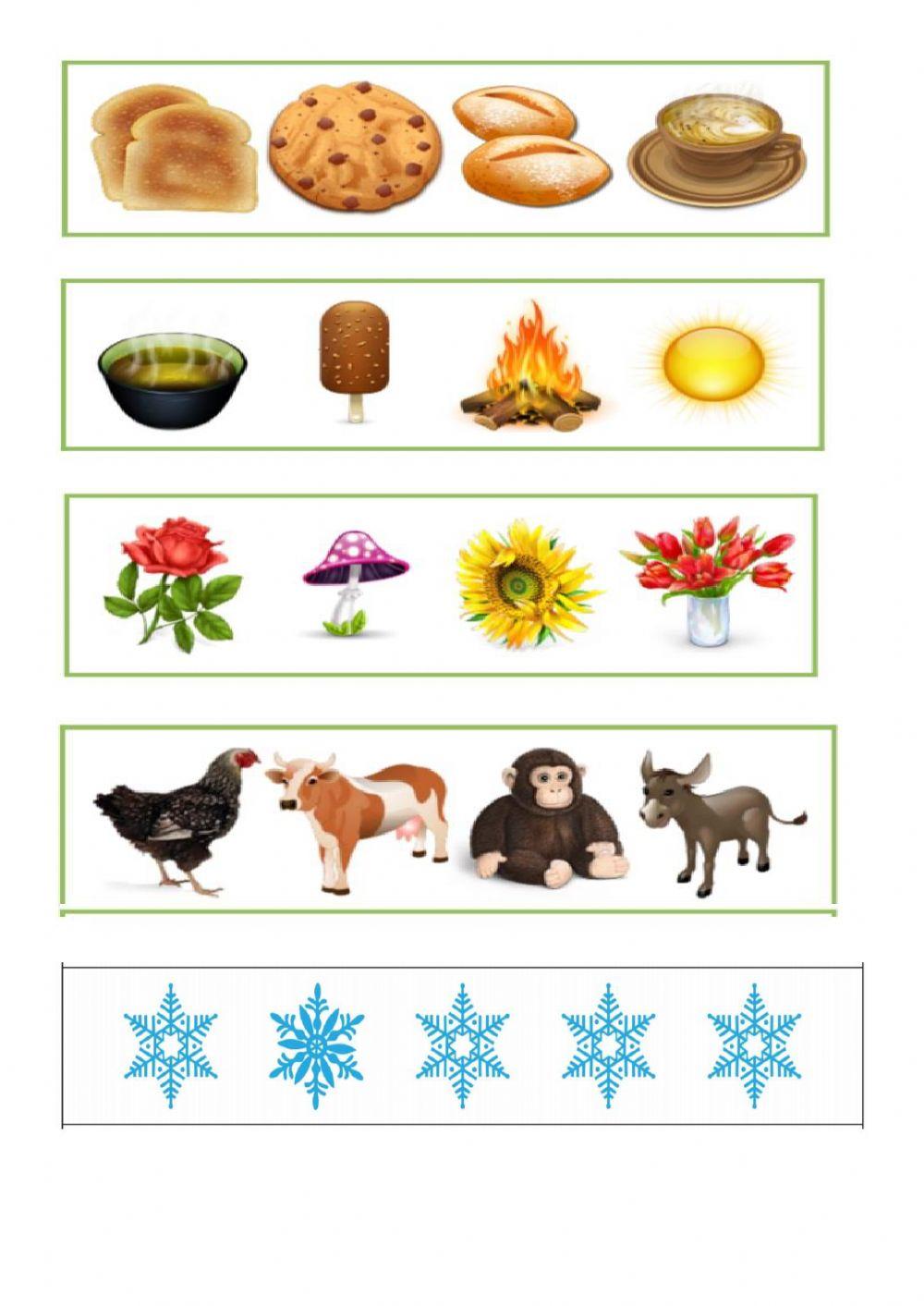 Găsește intrusul activity | Live Worksheets