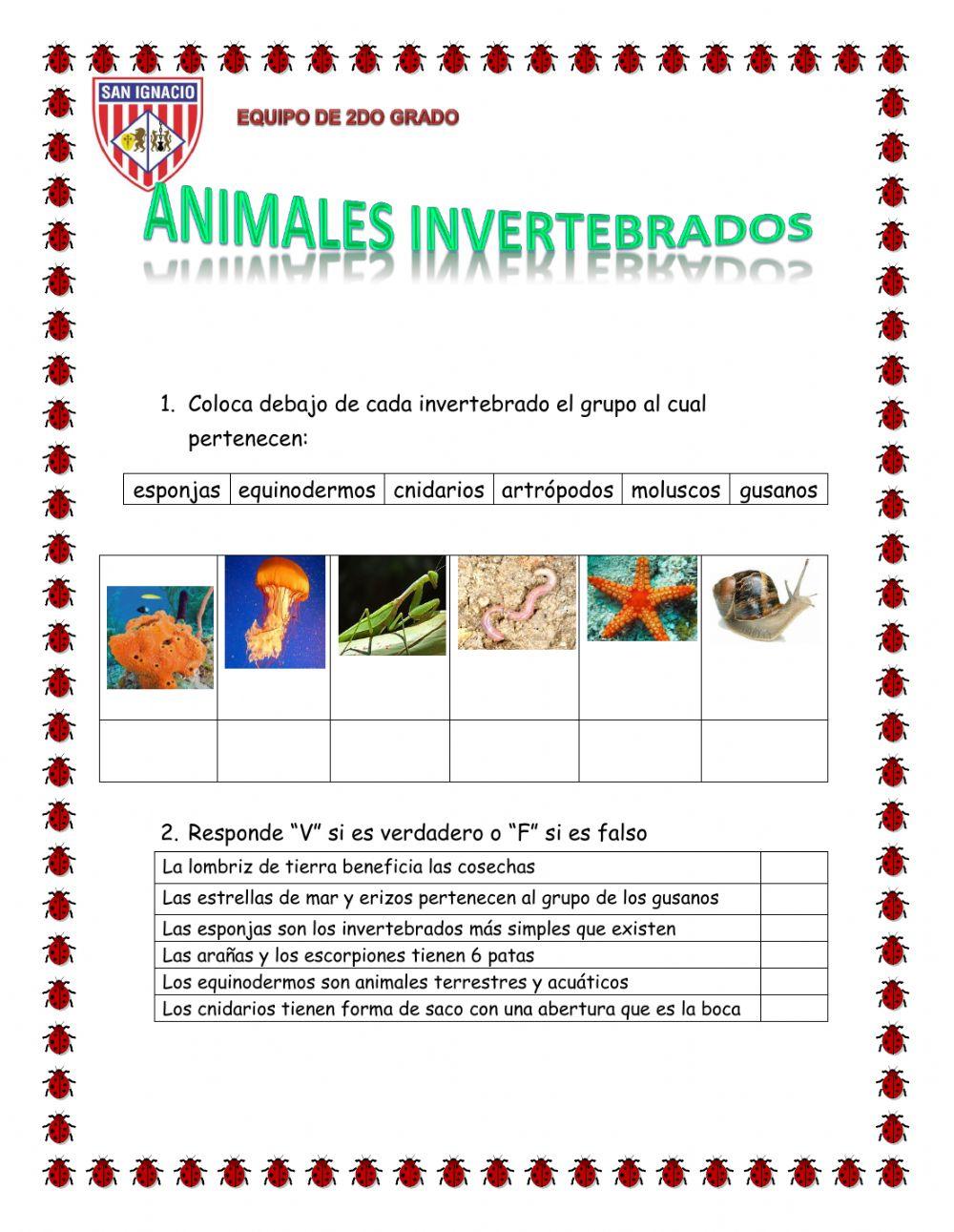 Animales invertebrados Ciencias de la Naturaleza worksheet | Live ...