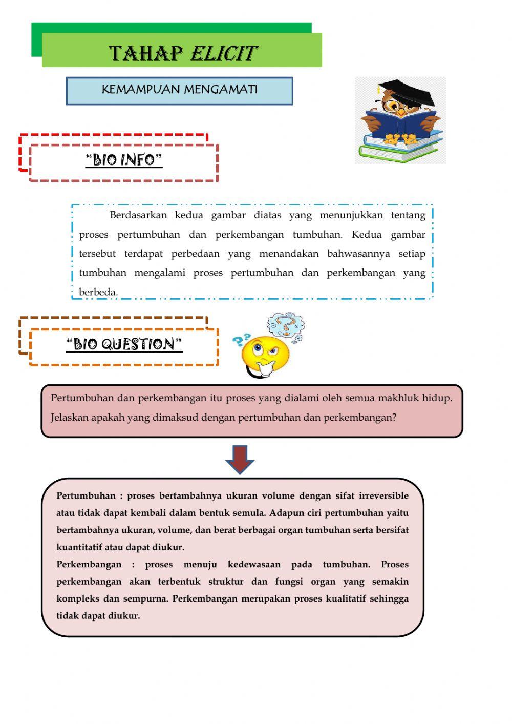 Tahap Elicit dan Engage 4583867 | DianaEkaPratiwi