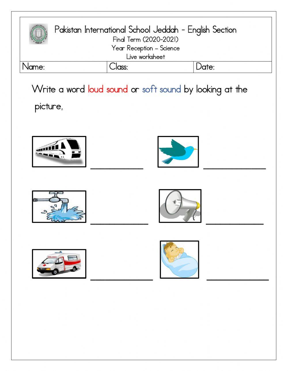 Science live worksheet sources of sound | Solat jahan