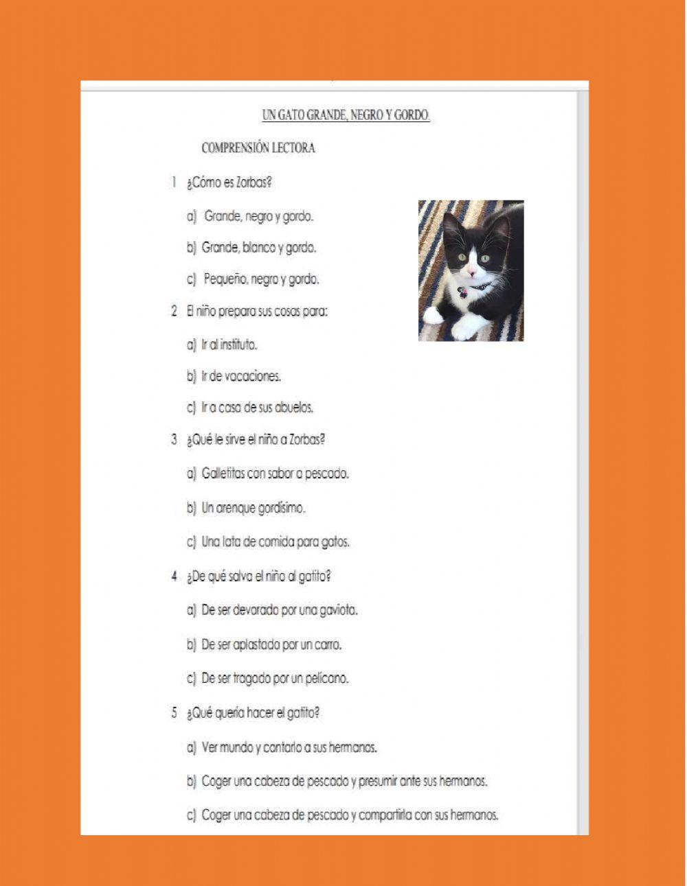 capitulo 2, primera parte online exercise for | Live Worksheets