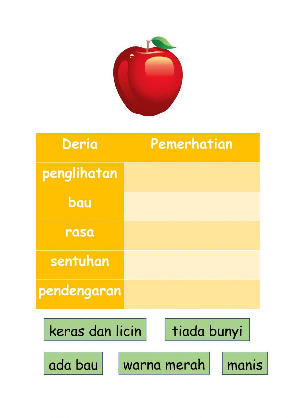 Memerhati worksheet | Live Worksheets