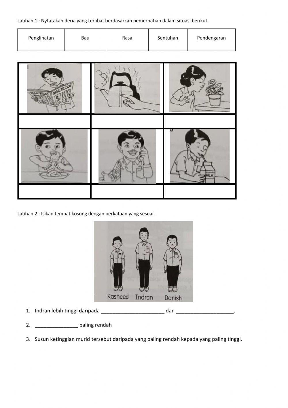 MEMERHATI DAN MENGELAS worksheet | Live Worksheets