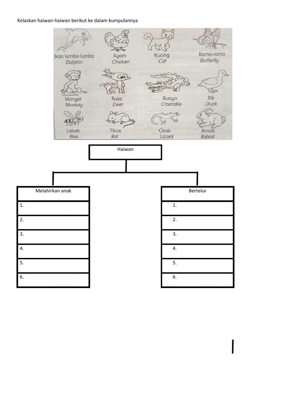 MEMERHATI DAN MENGELAS worksheet | Live Worksheets