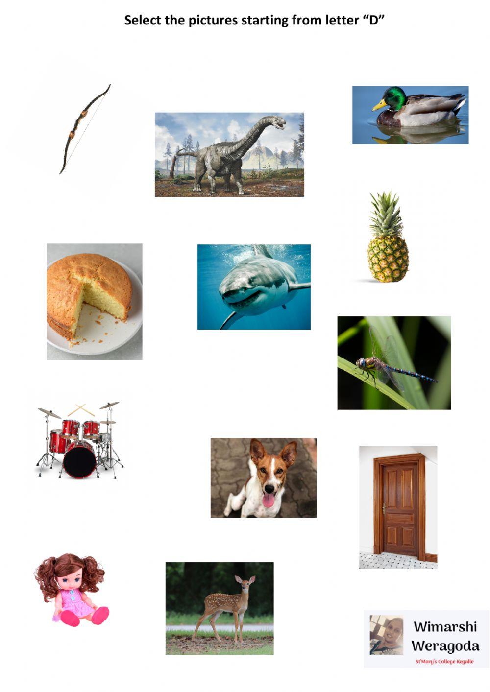 Letter D exercise for Grade 1-3 | Live Worksheets