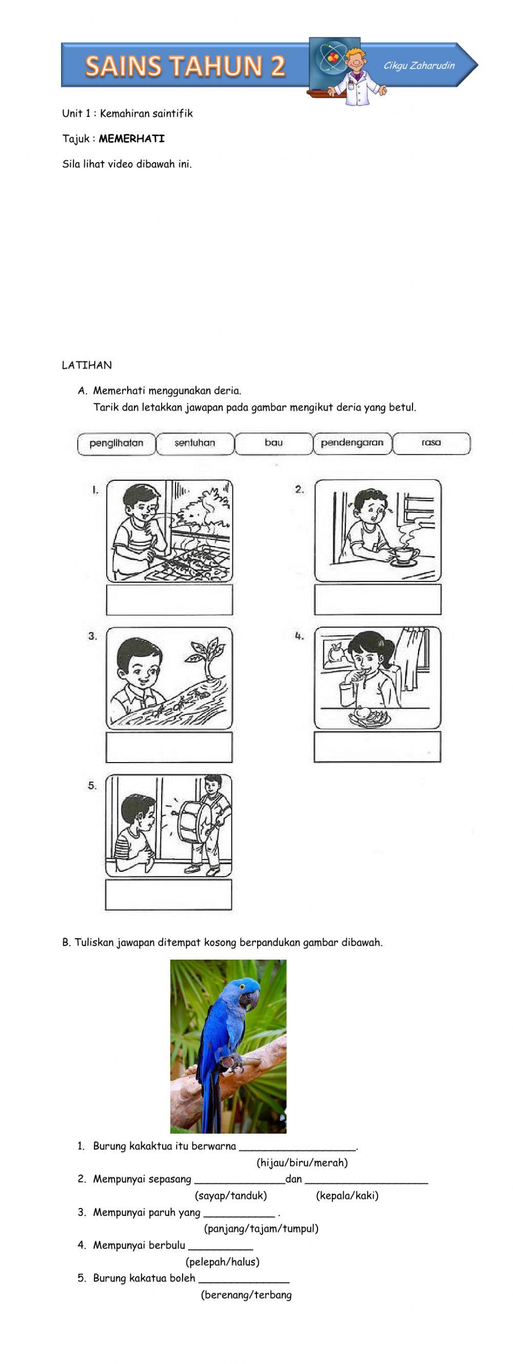 Memerhati interactive worksheet | Live Worksheets