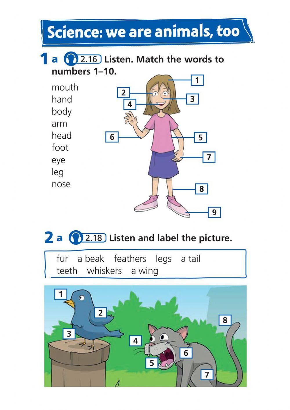 Project 1 - Uni… | Free Interactive Worksheets | 6409777