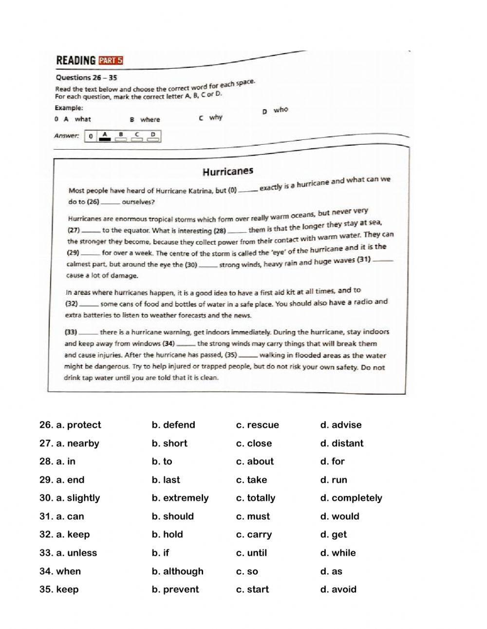 PET Reading Test | Free Interactive Worksheets | 651973