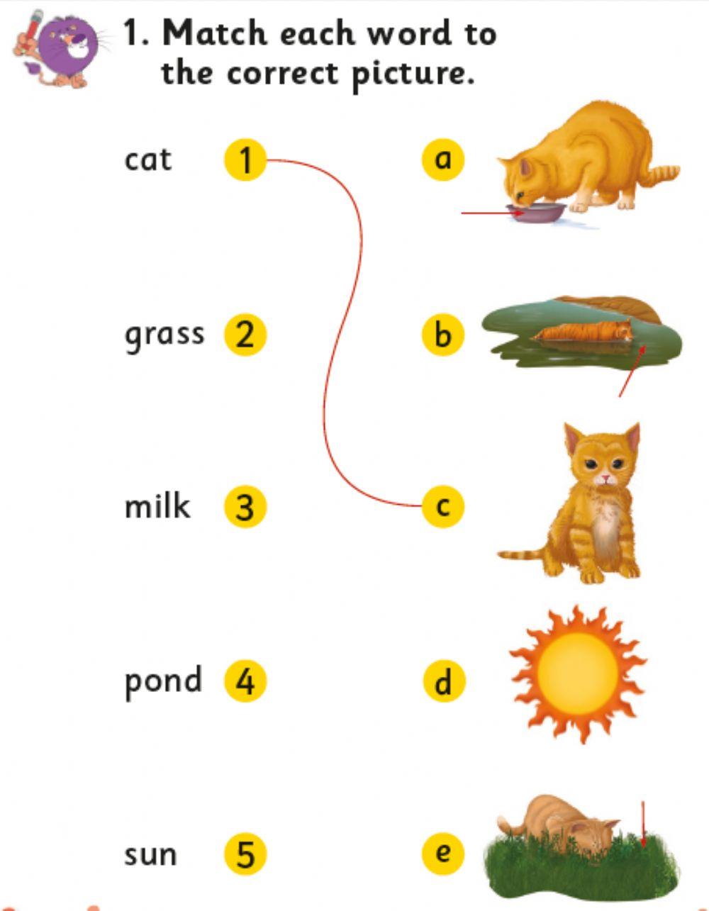 pet cat big cat online exercise for | Live Worksheets