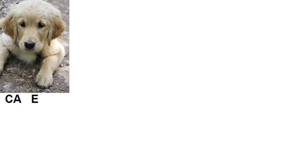 Cane worksheet | Live Worksheets