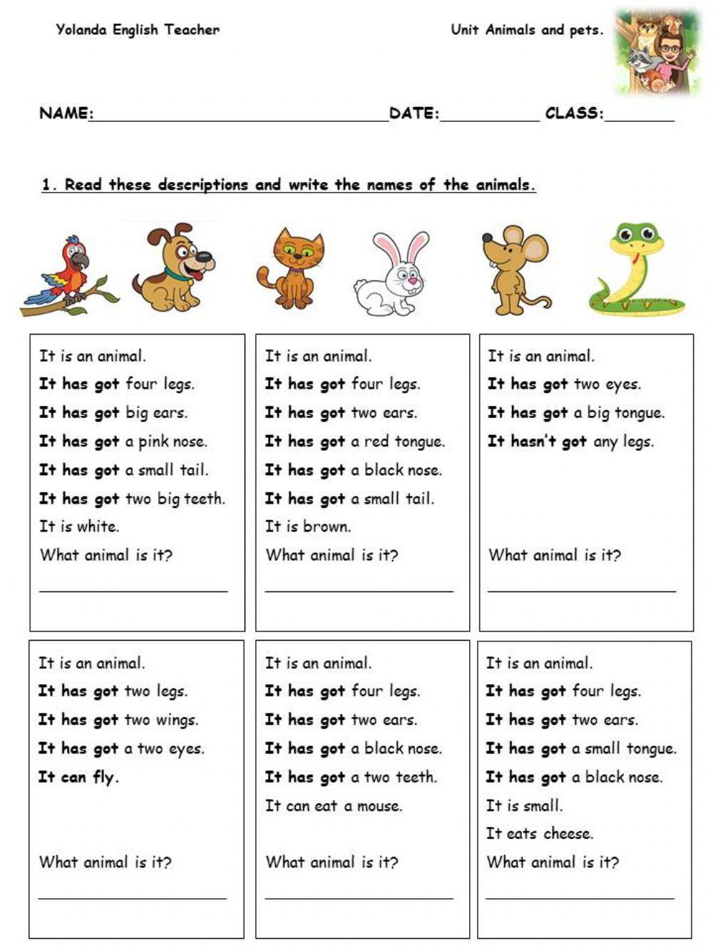 Animals online exercise for grade 2 | Live Worksheets