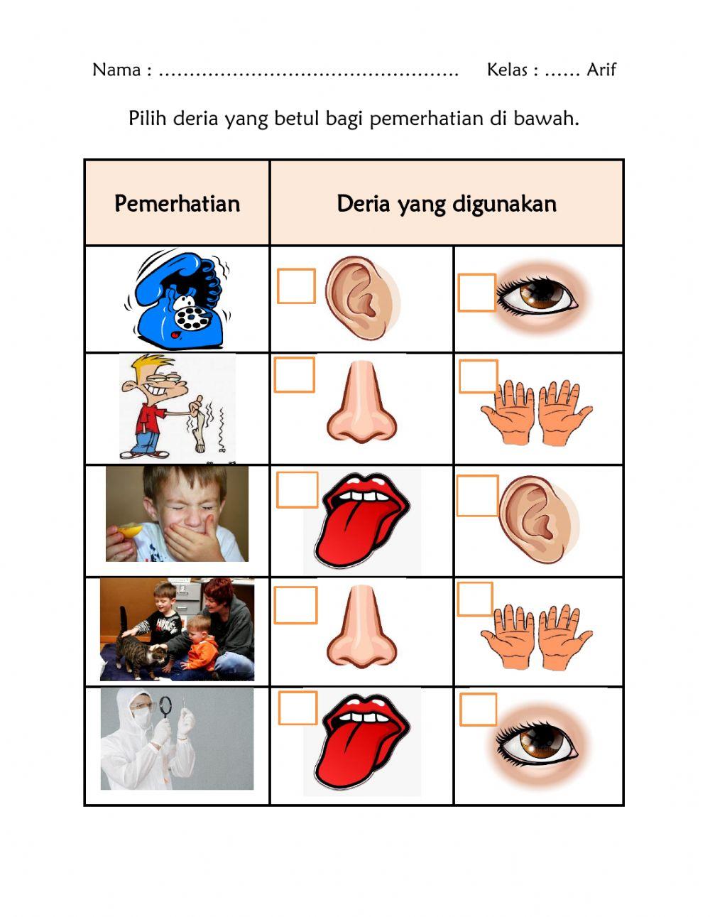 KPS 1 Memerhati worksheet | Live Worksheets