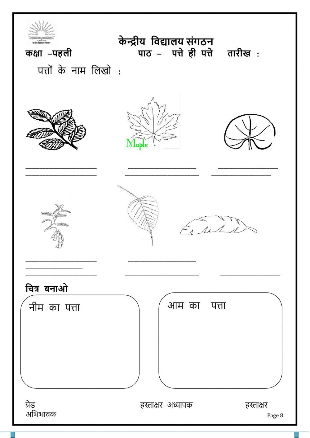 Hindi activity for grade e | Live Worksheets