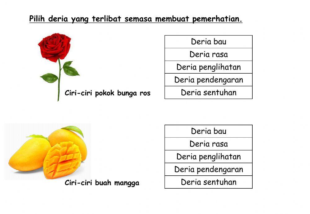 Memerhati Tahun 2 worksheet | Live Worksheets