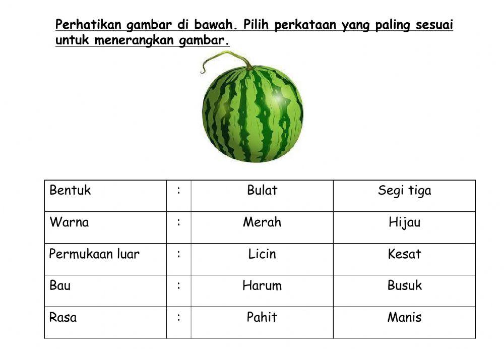 Memerhati Tahun 2 worksheet | Live Worksheets
