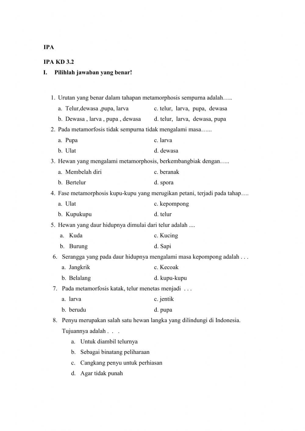 Tema 6 ipa kd 3.2 worksheet | Live Worksheets