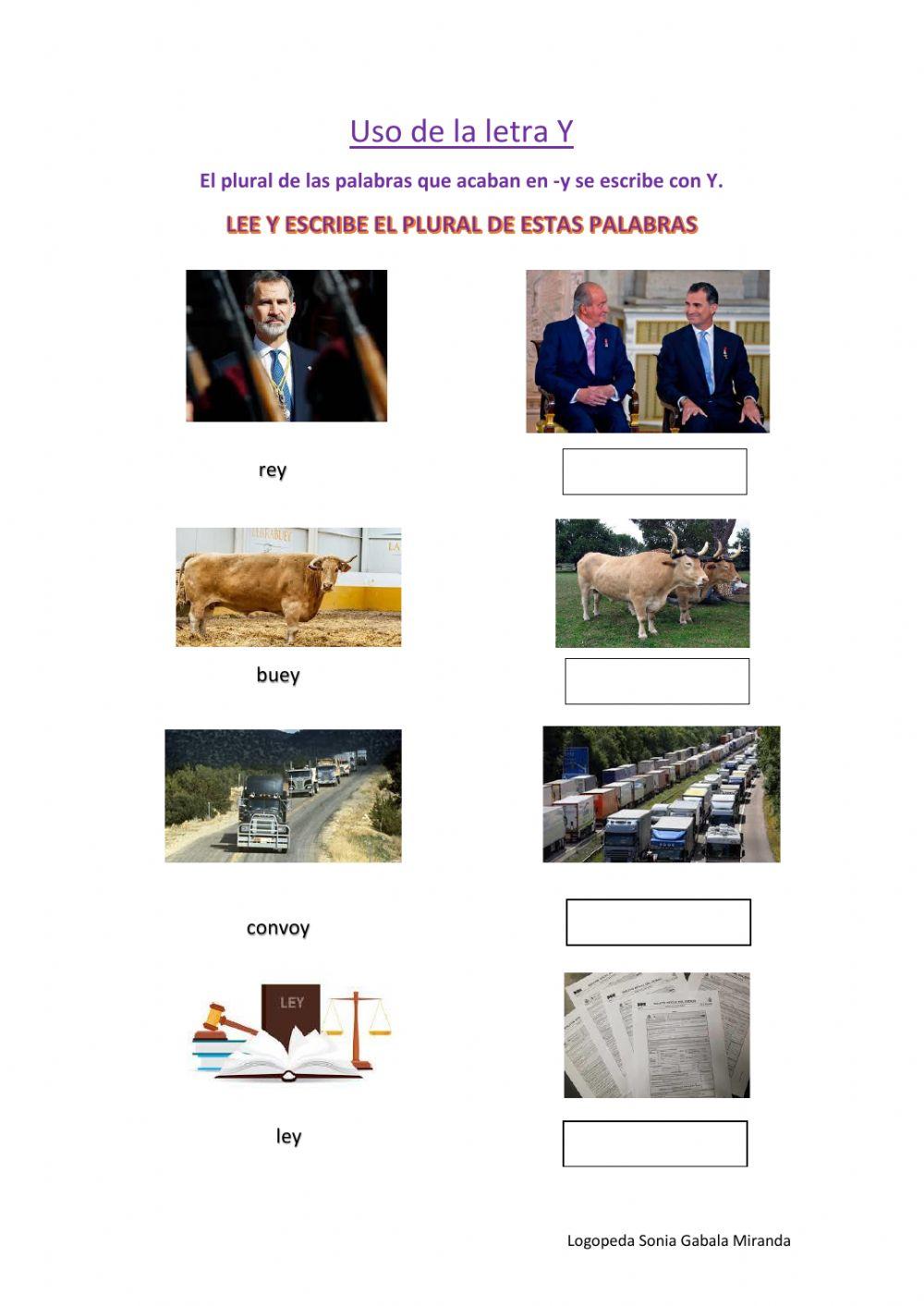 Palabras con Y online exercise | Live Worksheets